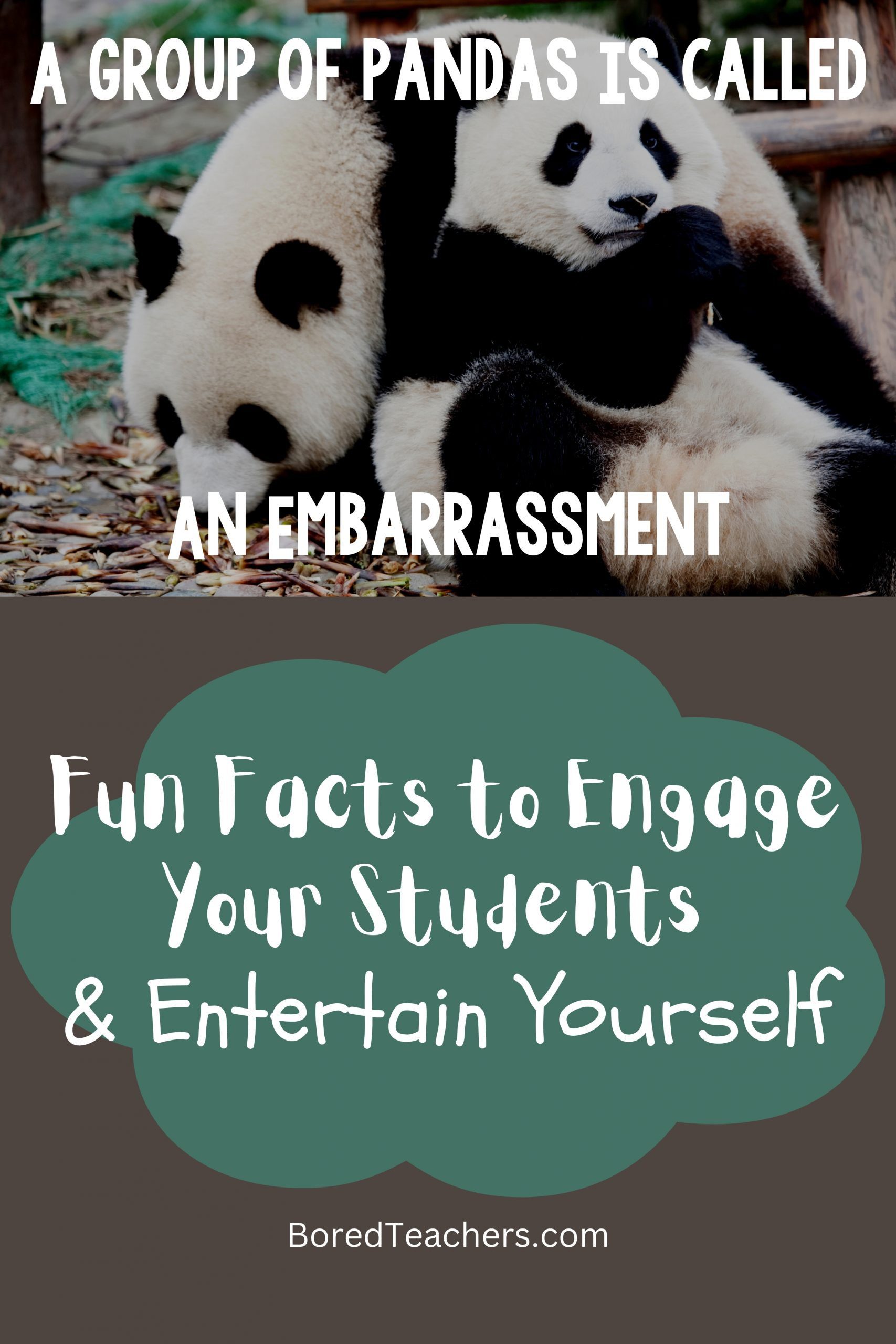 Fun Facts To Engage Your Students And Entertain Yourself fun-facts-to-engage-your-students-and-entertain-yourself
