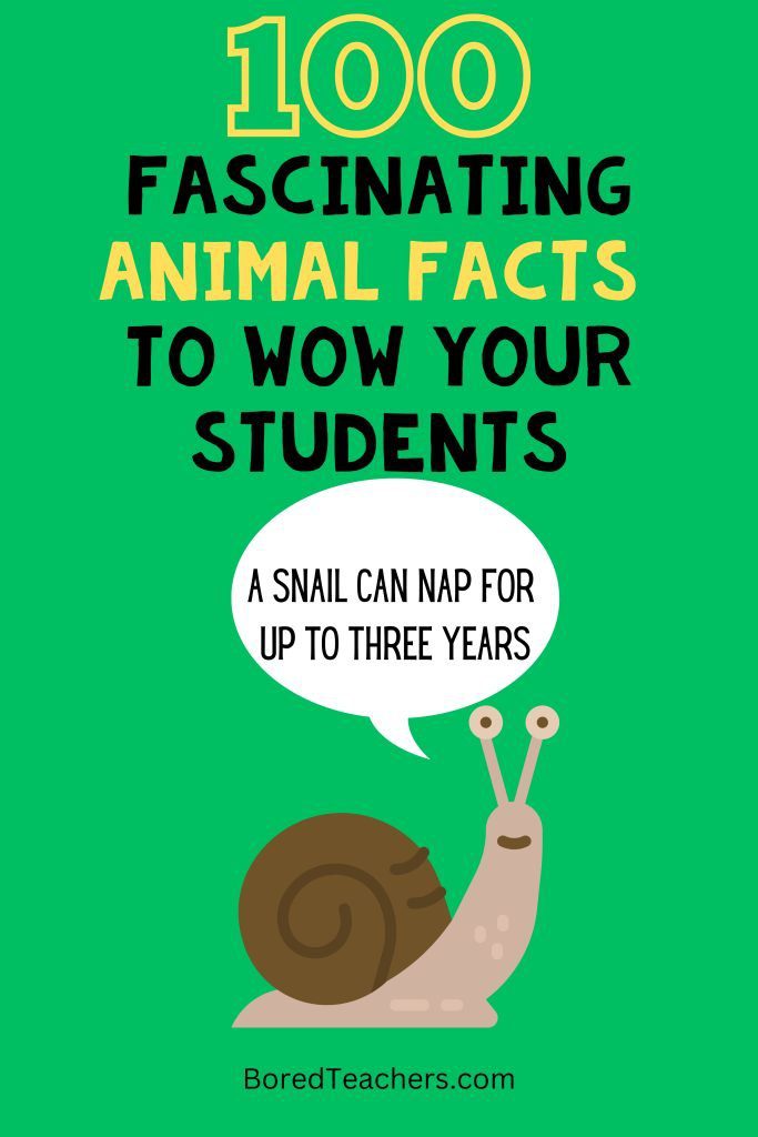 100 Fascinating Animal Facts to Wow Your Students